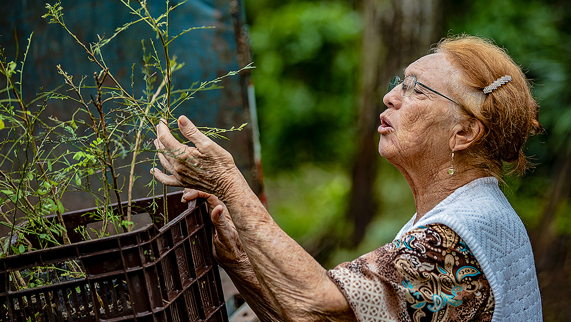 20 años del programa de calidad sostenible AAA | Nespresso®