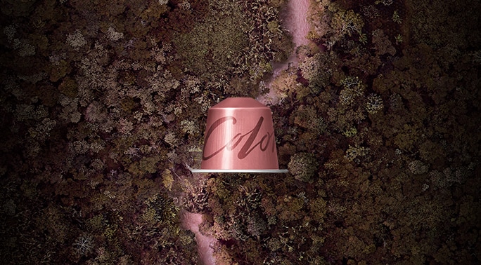 Colombia | Master Origin | Nespresso™ GR