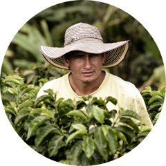 Nespresso Professional Capsules | Login