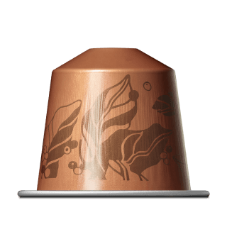 Café, máquinas de café y accesorios | Nespresso México