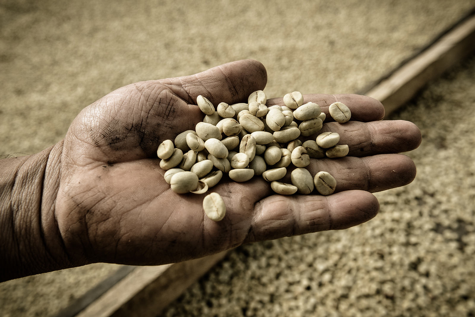 Os nossos compromissos para 2020 - Nespresso The Positive Cup