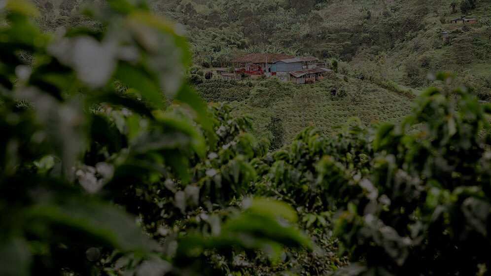 Nespresso AAA Sustainable Quality™ Program