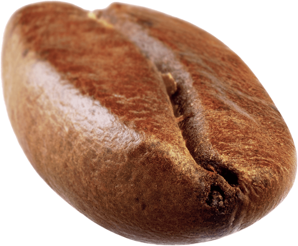 Capsule café à base de papier compostable | Nespresso