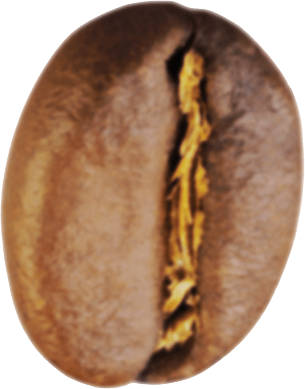 Capsule café à base de papier compostable | Nespresso