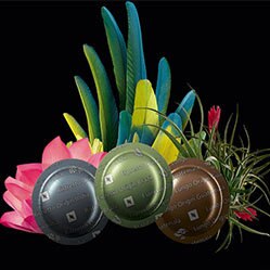 Professional Business Solutions | Nespresso™ Professional Romania